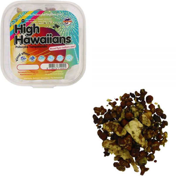 High Hawaiians Magic Truffels 100% Vers | Smartific.nl